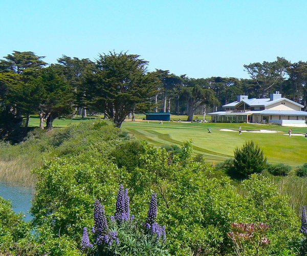 TPC Harding Park